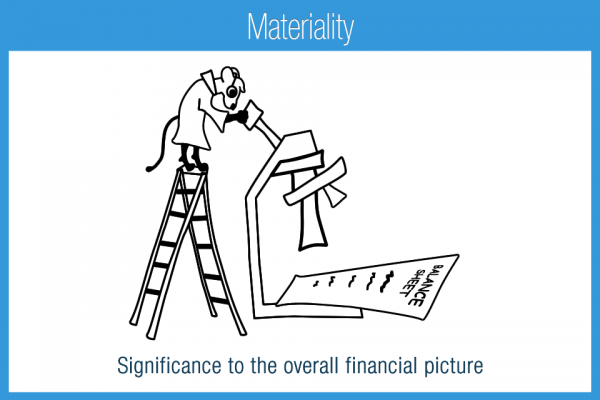 Materiality - Accounting Play